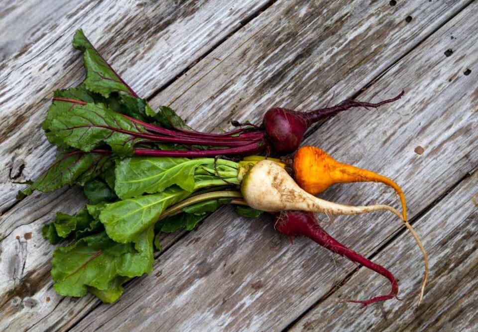 What Color Is Beetroot? - Eat Your Beets