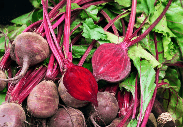 What is Beetroot? Different Types Of Beetroot - Eat Your Beets