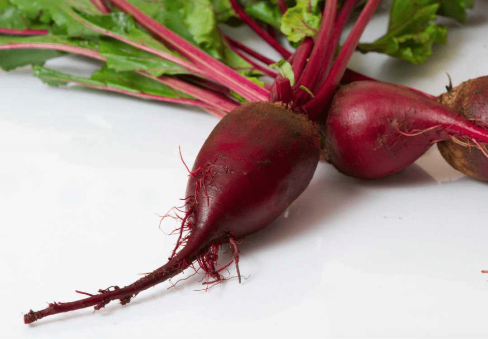 What is Beetroot? Different Types Of Beetroot - Eat Your Beets