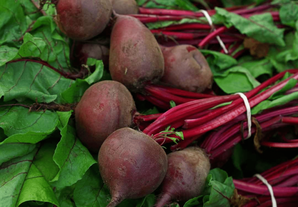 What is Beetroot? Different Types Of Beetroot - Eat Your Beets
