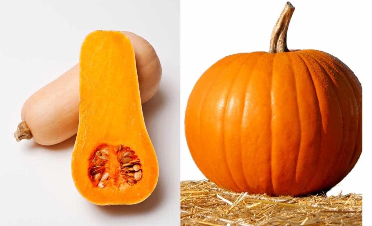 What Does Butternut Squash Taste Like? - Eat Your Beets