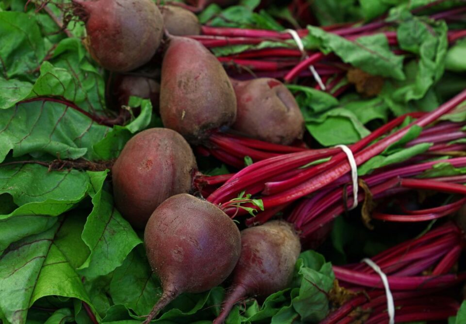 Canned Beetroot Vs Fresh (What's The Difference) - Eat Your Beets