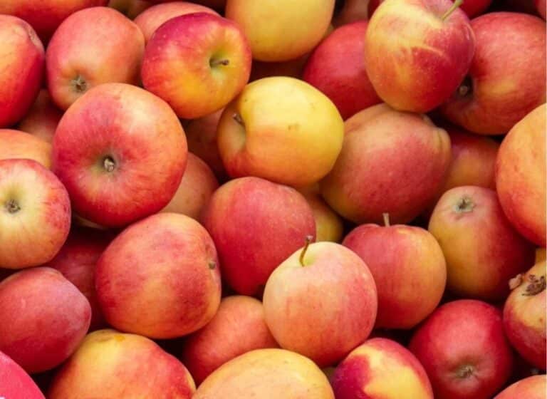 What Are the Sweetest Apples? - Eat Your Beets