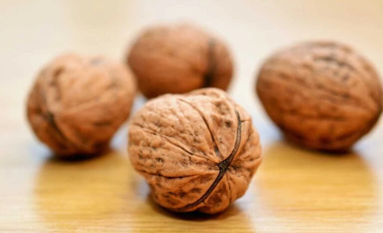 Do Walnuts Go Bad? What Are The Signs? - Eat Your Beets