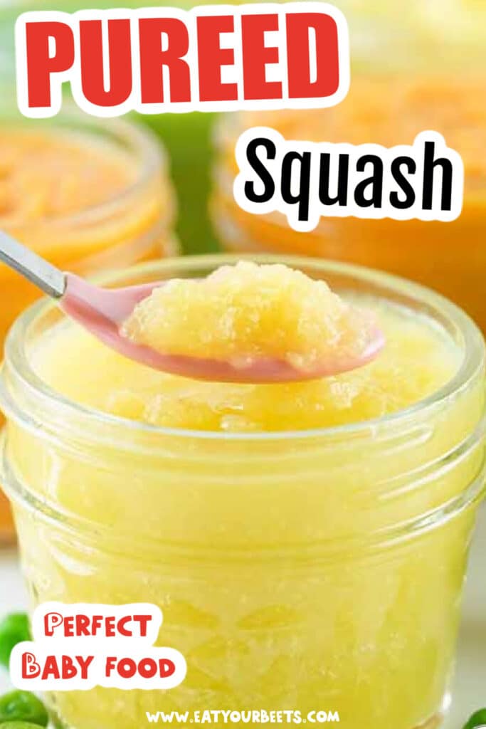Easy Pureed Squash Recipe - Eat Your Beets