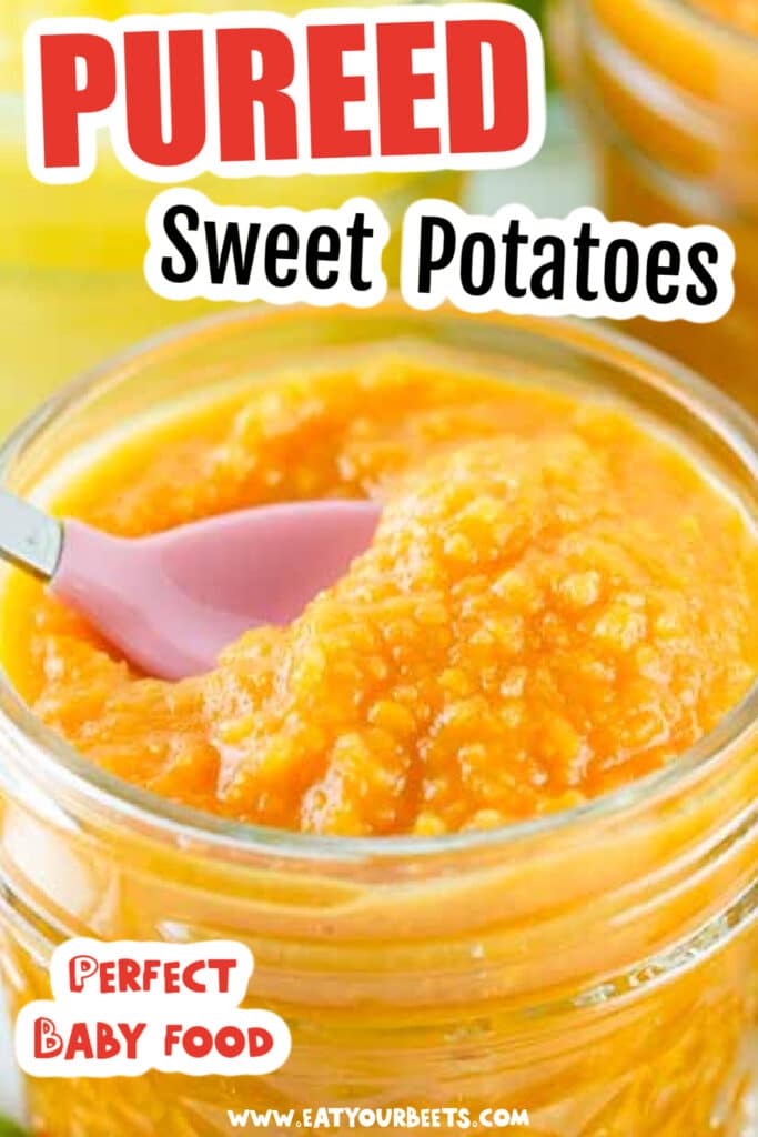Easy Pureed Sweet potatoes - Eat Your Beets