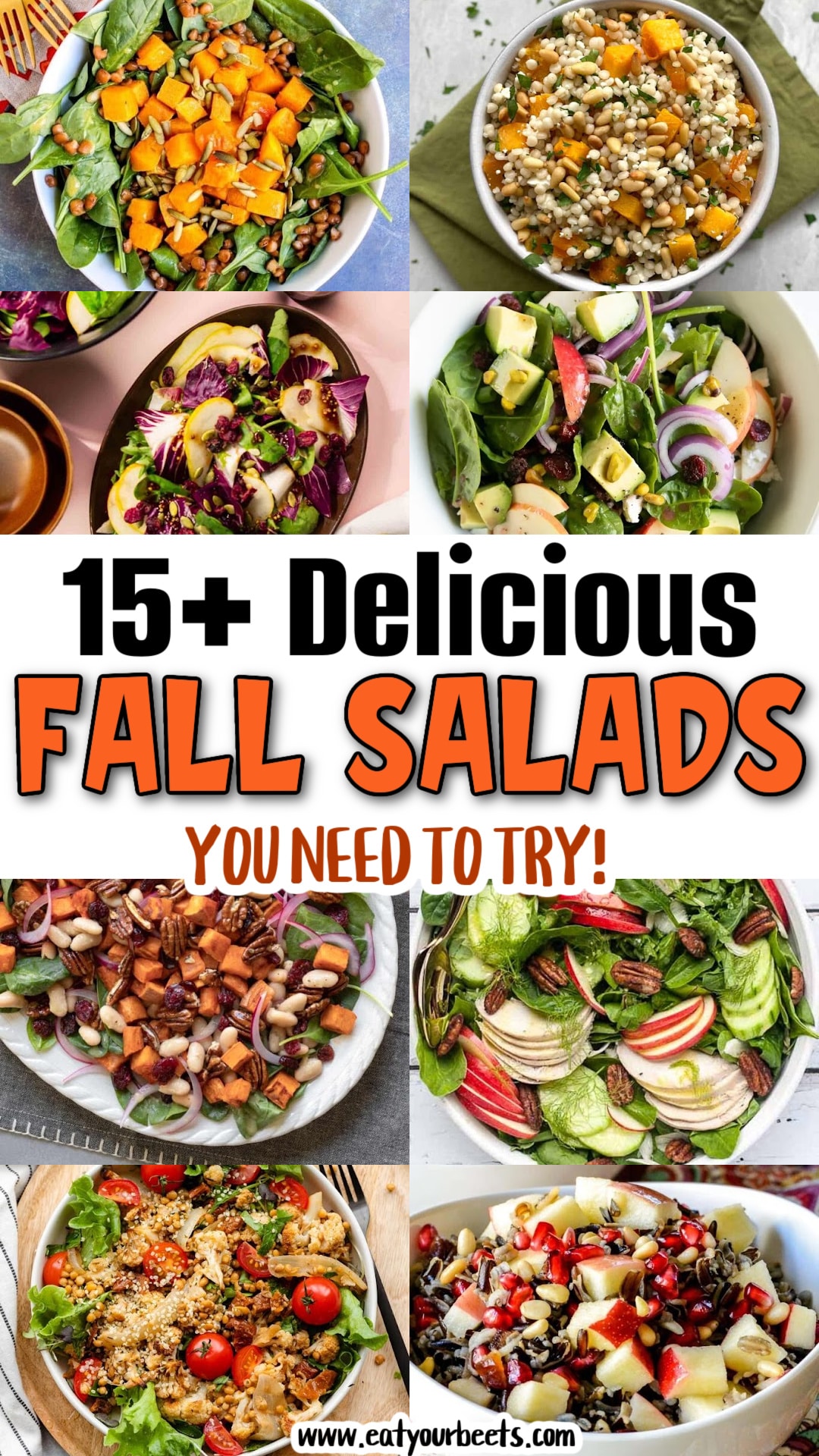Best Fall Salad Recipes To Make - Eat Your Beets