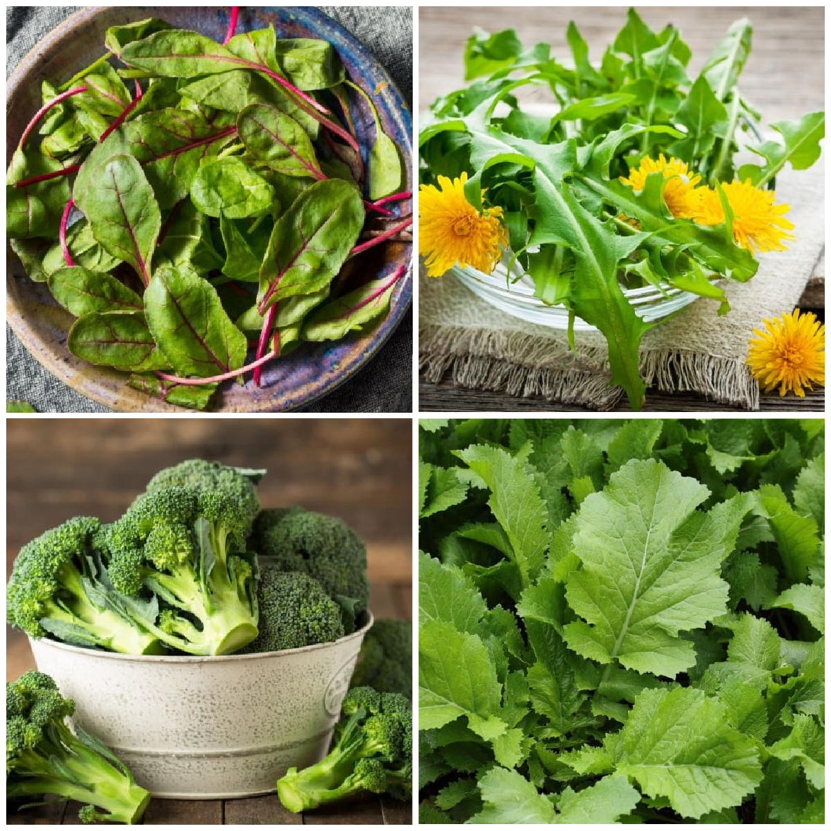 The Best Substitute For Arugula - Eat Your Beets