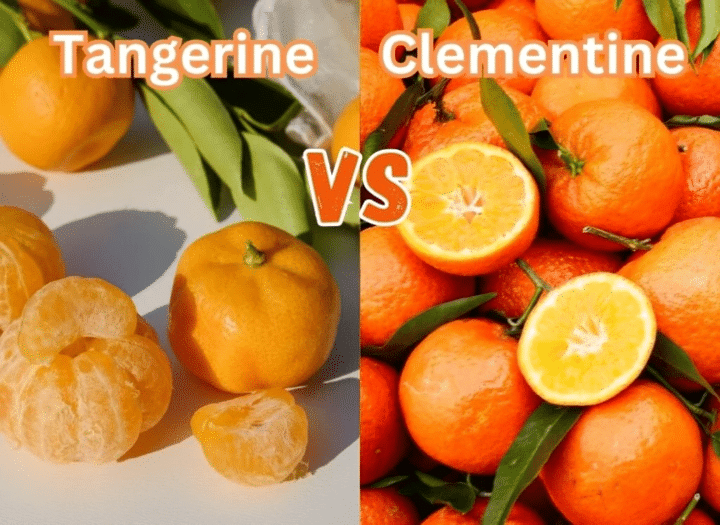 Tangerine vs Clementine: What's the Difference? - Eat Your Beets
