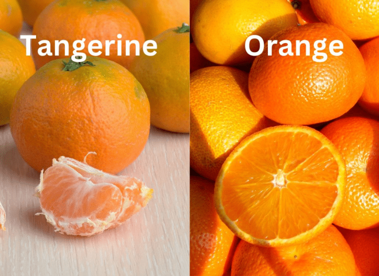 Tangerine vs Orange: What's the Difference? - Eat Your Beets