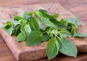 Best Substitution For Thai Basil