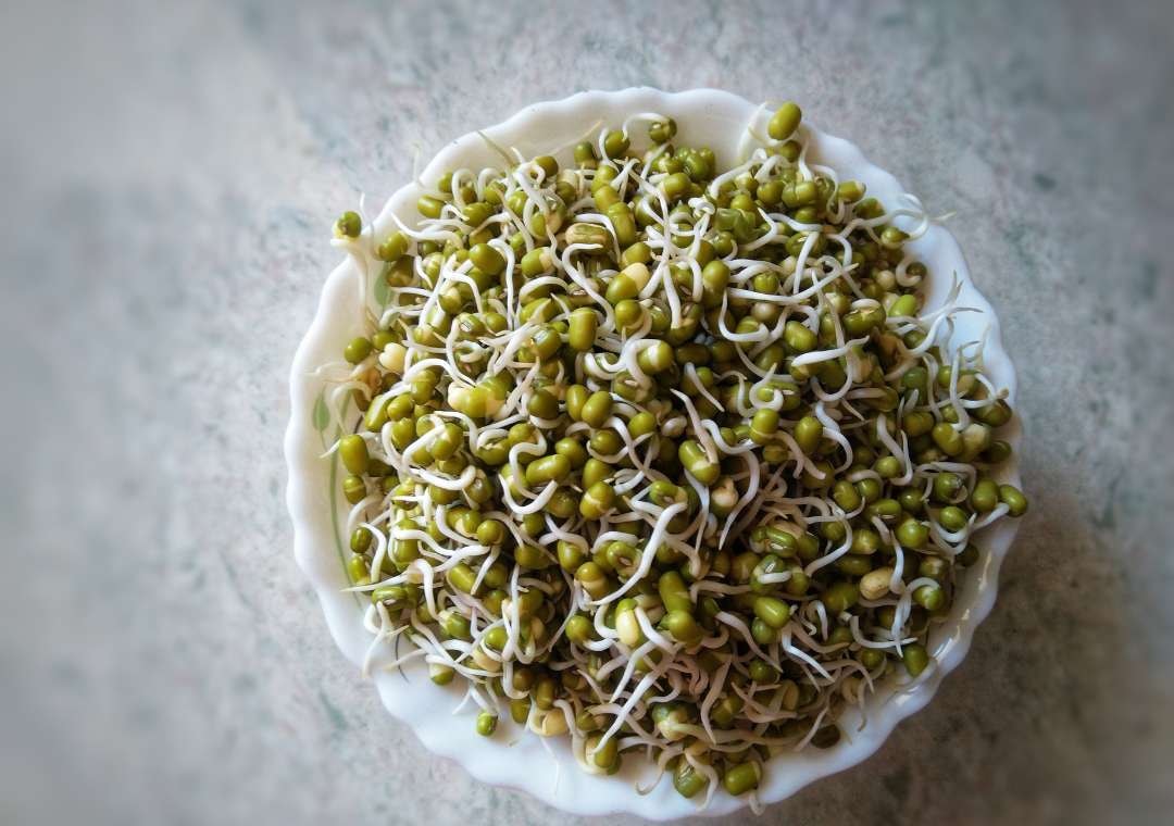 Can You Freeze Bean Sprouts - Eat Your Beets
