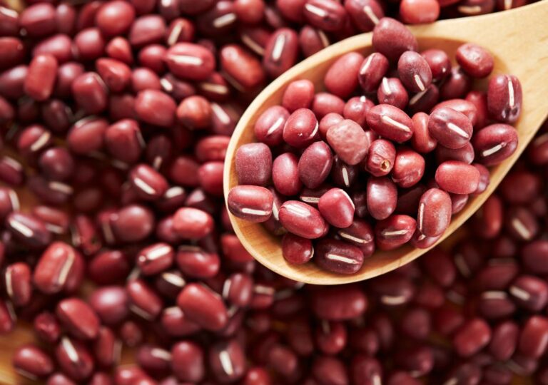 Best Cannellini Bean Substitute: Top 10 Options - Eat Your Beets