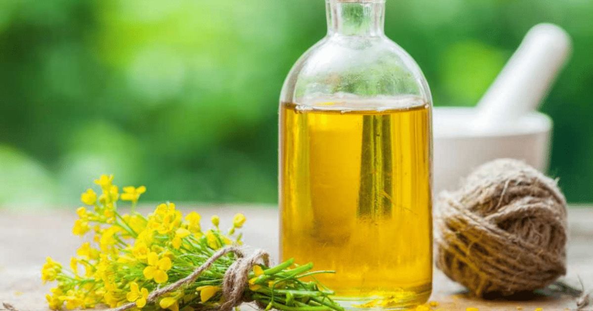 Best Oil For Searing Steak : Top 7 High Smoke Point Oils - Eat Your Beets