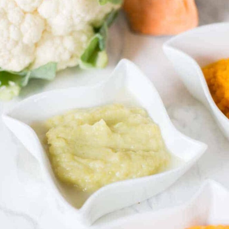 Easy Blueberry Puree Recipe - Eat Your Beets